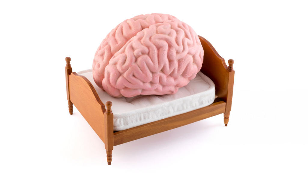 ¿Cuánto dura un ciclo de sueño? Conoce todas sus fases | Plantival®
